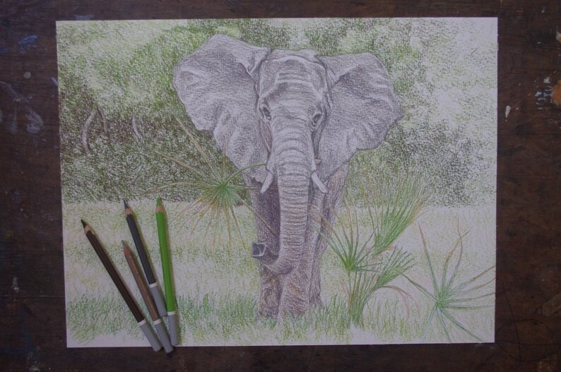 Elephant Eating a Palm Leaf, Original African Wildlife Art, Elephant in ...