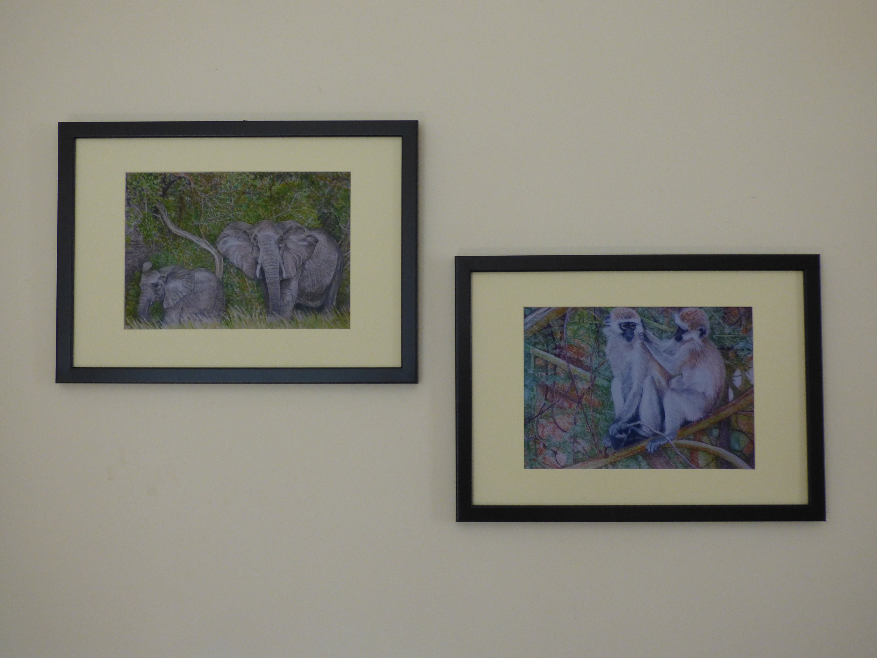 Monkey Art Print, Vervet Monkeys on Branch, Monkey Wall Art, Ready ...