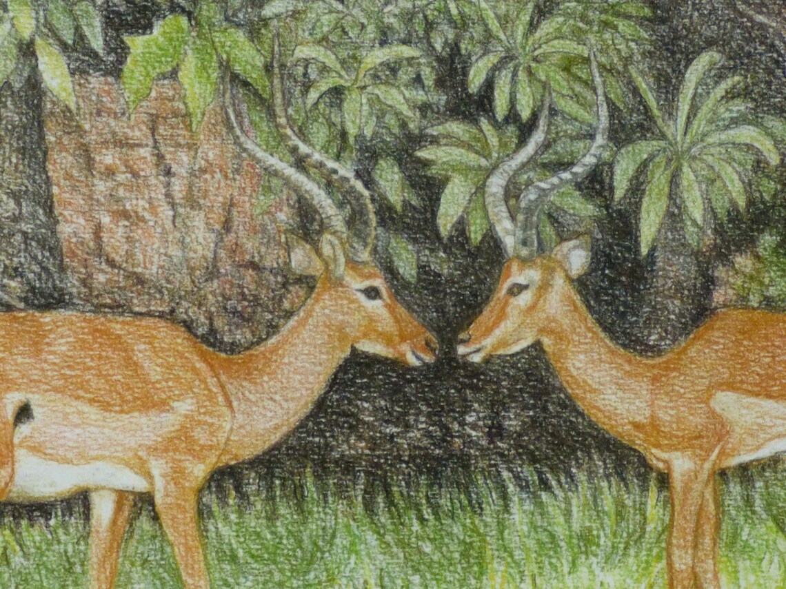 Original Painting of Greeting Impalas in the African Bush, Male ...