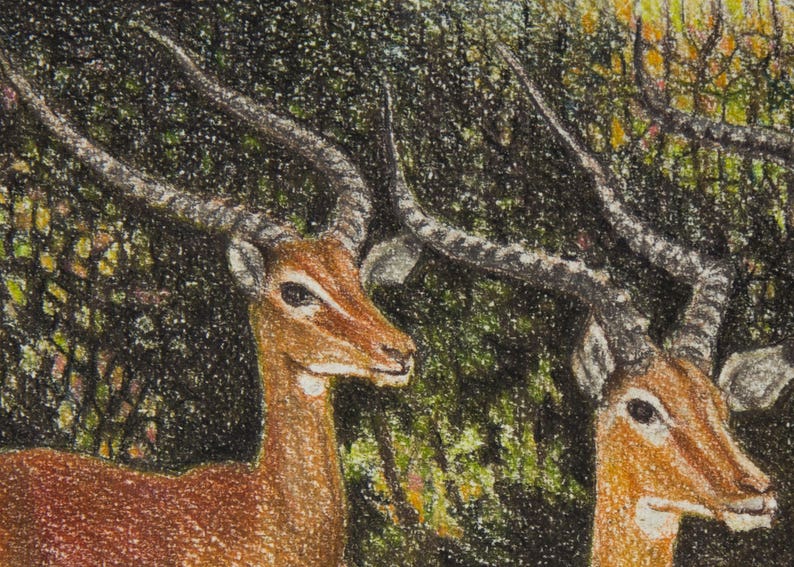 Original Impala Painting, Group of Impalas in the Bush, Horned ...