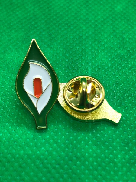 PinBadgesIreland - Etsy