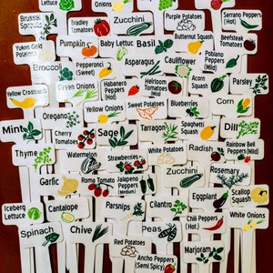 Vegetable Plant Labels Garden Markers, Plastic Plant Tags - Etsy