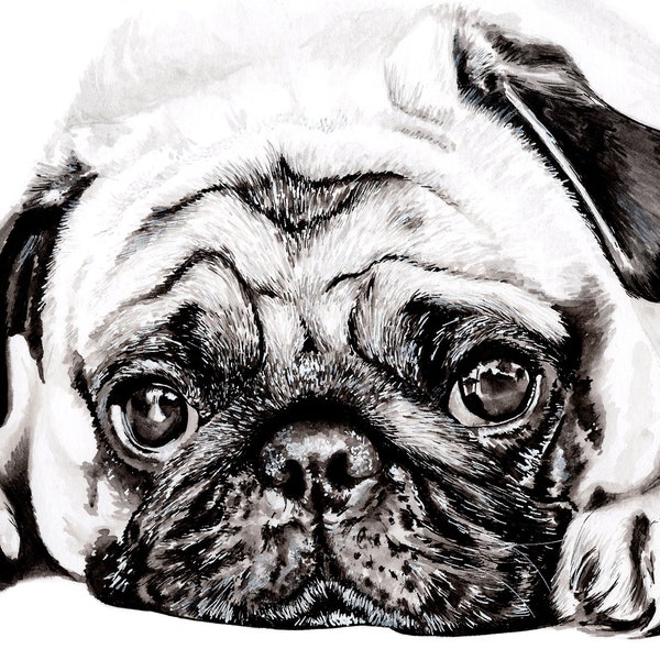 Sad Pug - Etsy