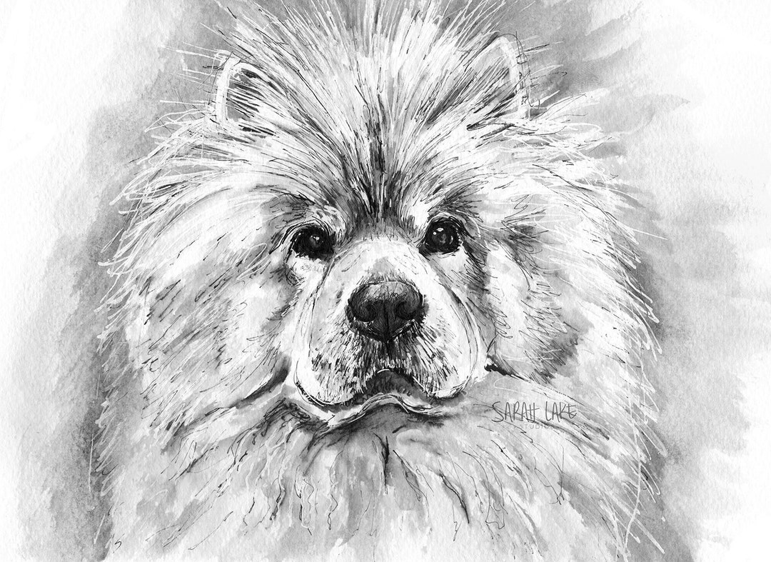 Chow Chow Dog Pen Drawing Art A5 Blank Greeting Card Cream Painting Ink ...