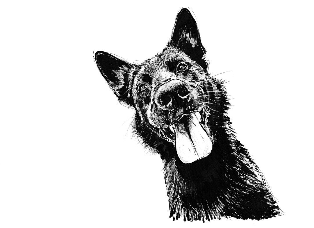 German Shepherd Dog Pen and Ink Drawing Art A5 Blank Greeting Card ...