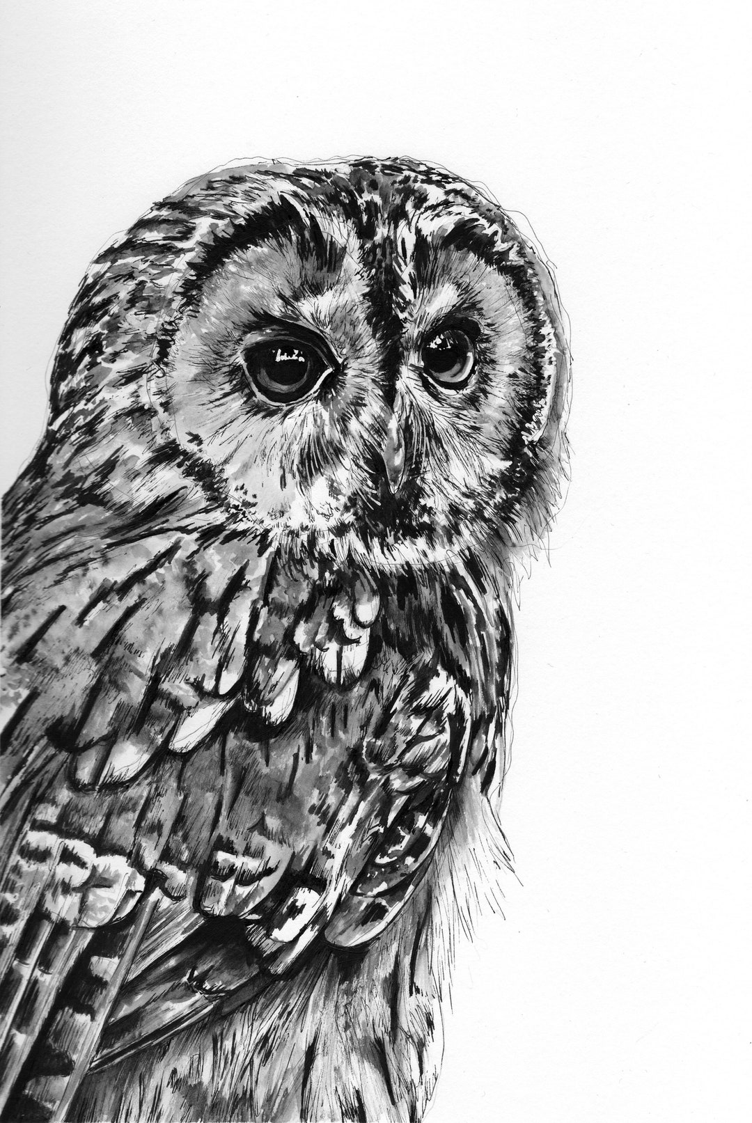 Tawny Owl Bird Painting Art A5 Blank Greeting Card Wildlife Animal ...