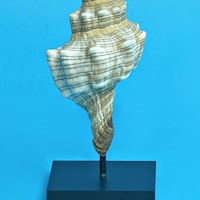 Hand Carved Indian Sheesham Wood Tripod Seashell Cobra Stands ...