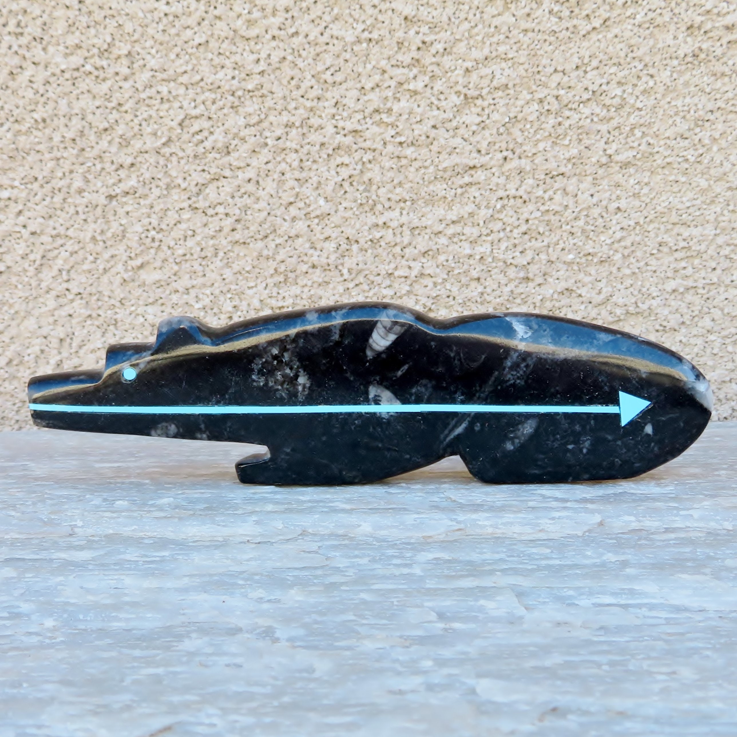 Shark Co2 Cars