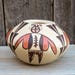 Native American Pottery Hopi Handmade Pottery Hand Coiled Pot With Moth ...