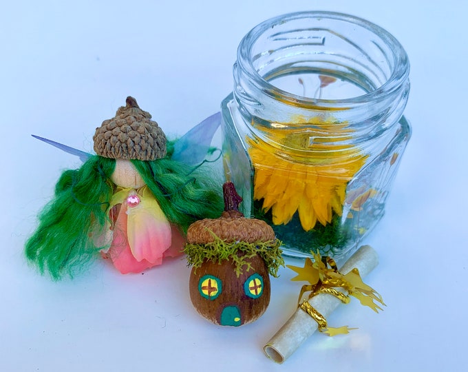Wee Acorn Fairy House and Doll Fairy Gift Set Fairy House - Etsy