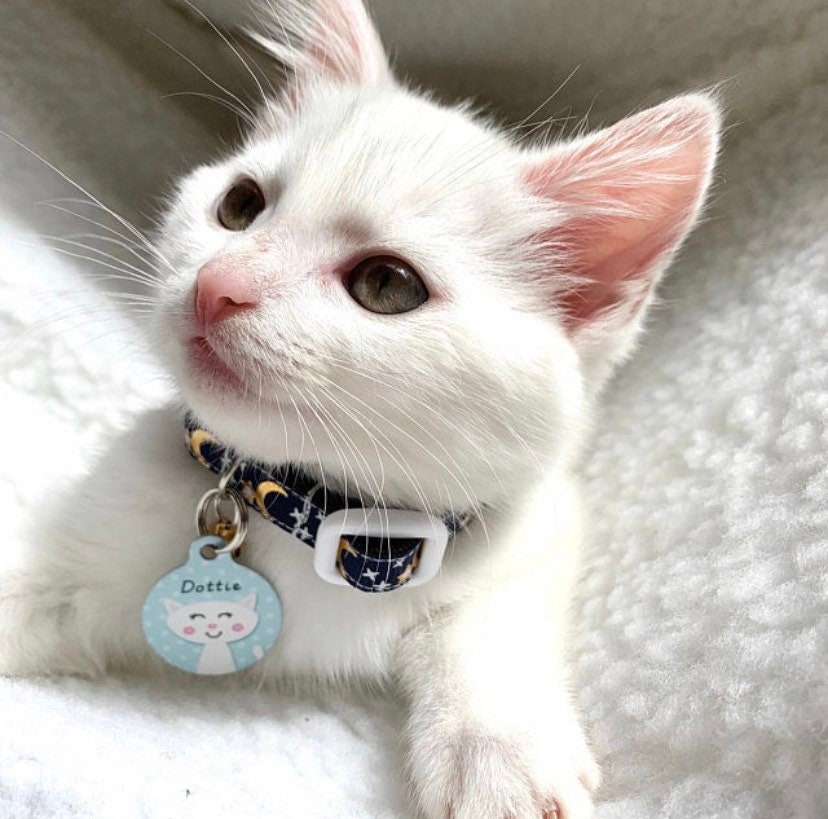 CAT COLLAR Kitten Collar Handmade Collar Moon Stars | Etsy