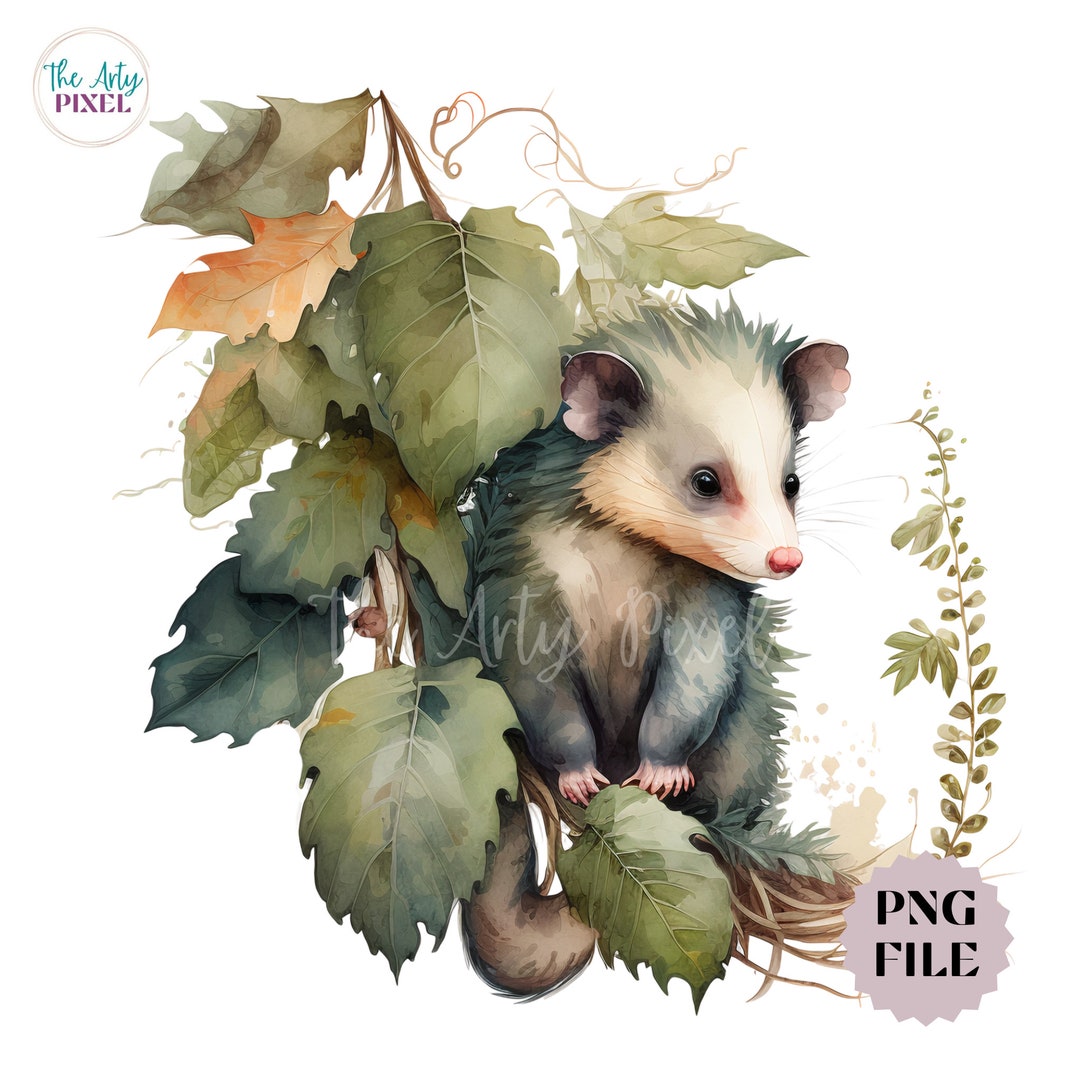 Cute Possum PNG Clipart, Goblincore Clipart, Opossum Sublimation ...