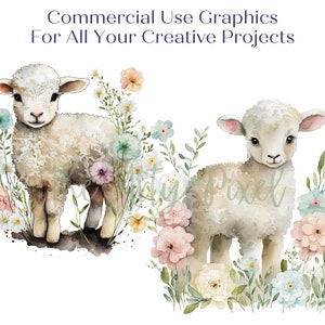 Cute Lamb Clipart, Spring Watercolor PNG Bundle, Commercial Use ...
