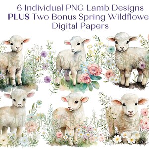 Cute Lamb Clipart, Spring Watercolor PNG Bundle, Commercial Use ...
