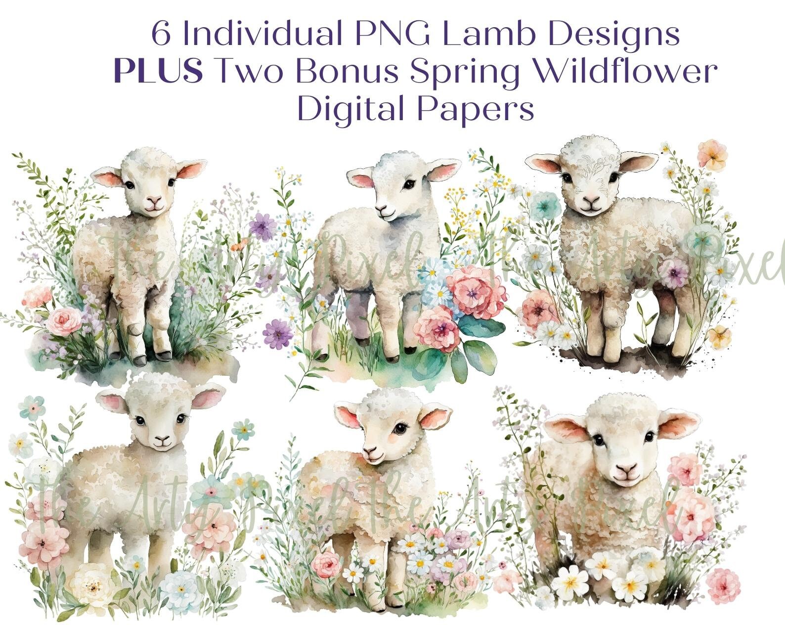 Cute Lamb Clipart, Spring Watercolor PNG Bundle, Commercial Use ...