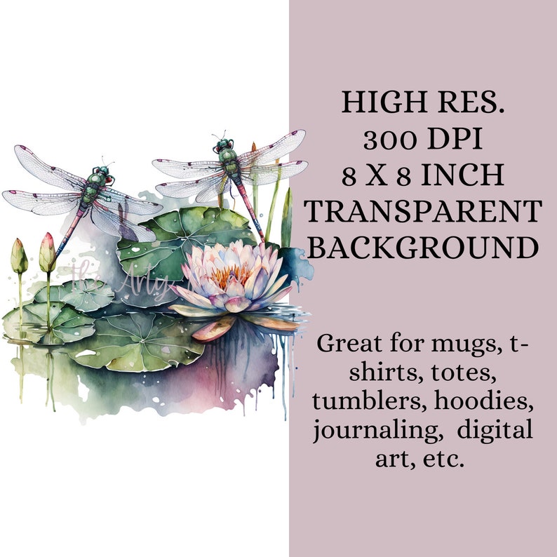Watercolor Dragonfly Clipart, Lily Pond Design, Pretty Springtime PNG ...