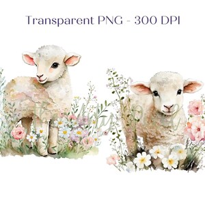 Cute Lamb Clipart, Spring Watercolor PNG Bundle, Commercial Use ...