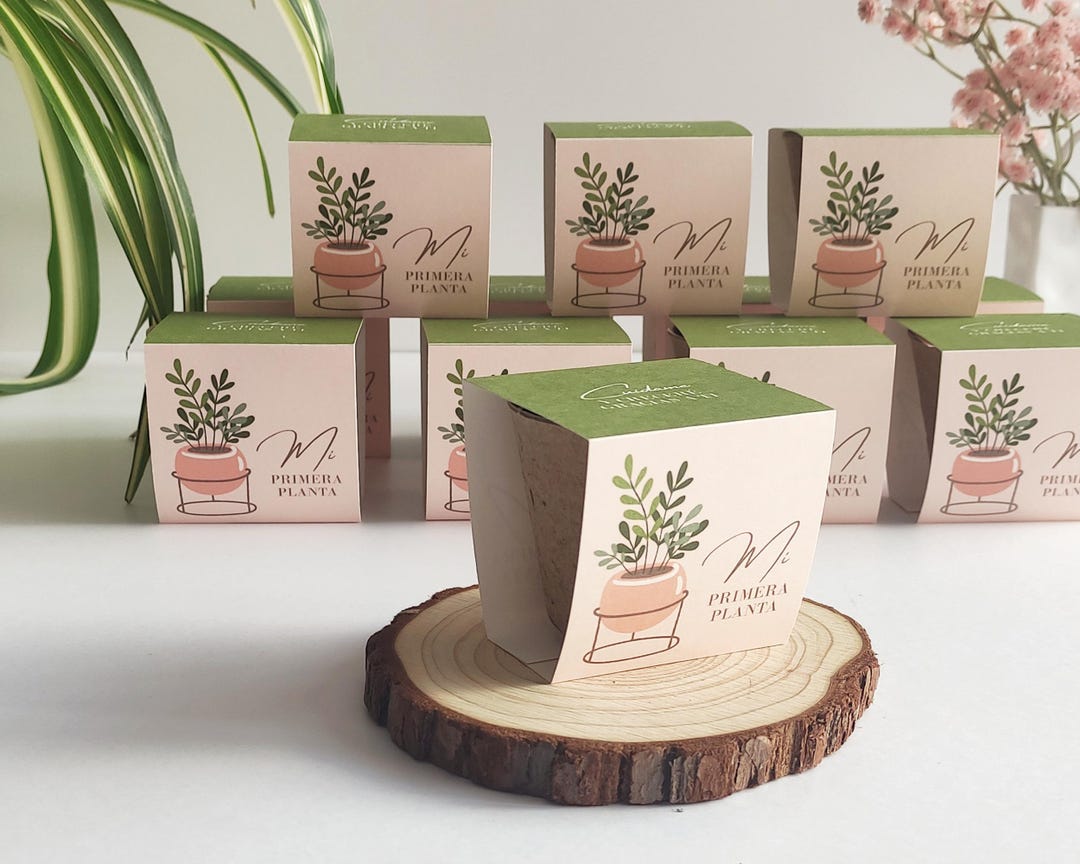 My First Plant, Planting Kit, Learning by Playing, Activity for ...