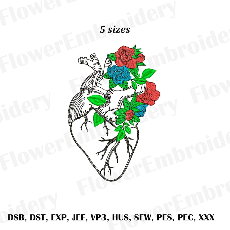 Embroidery Anatomy - Etsy
