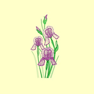 Iris Machine Embroidery Design Embroidery Designs for Machine Iris ...