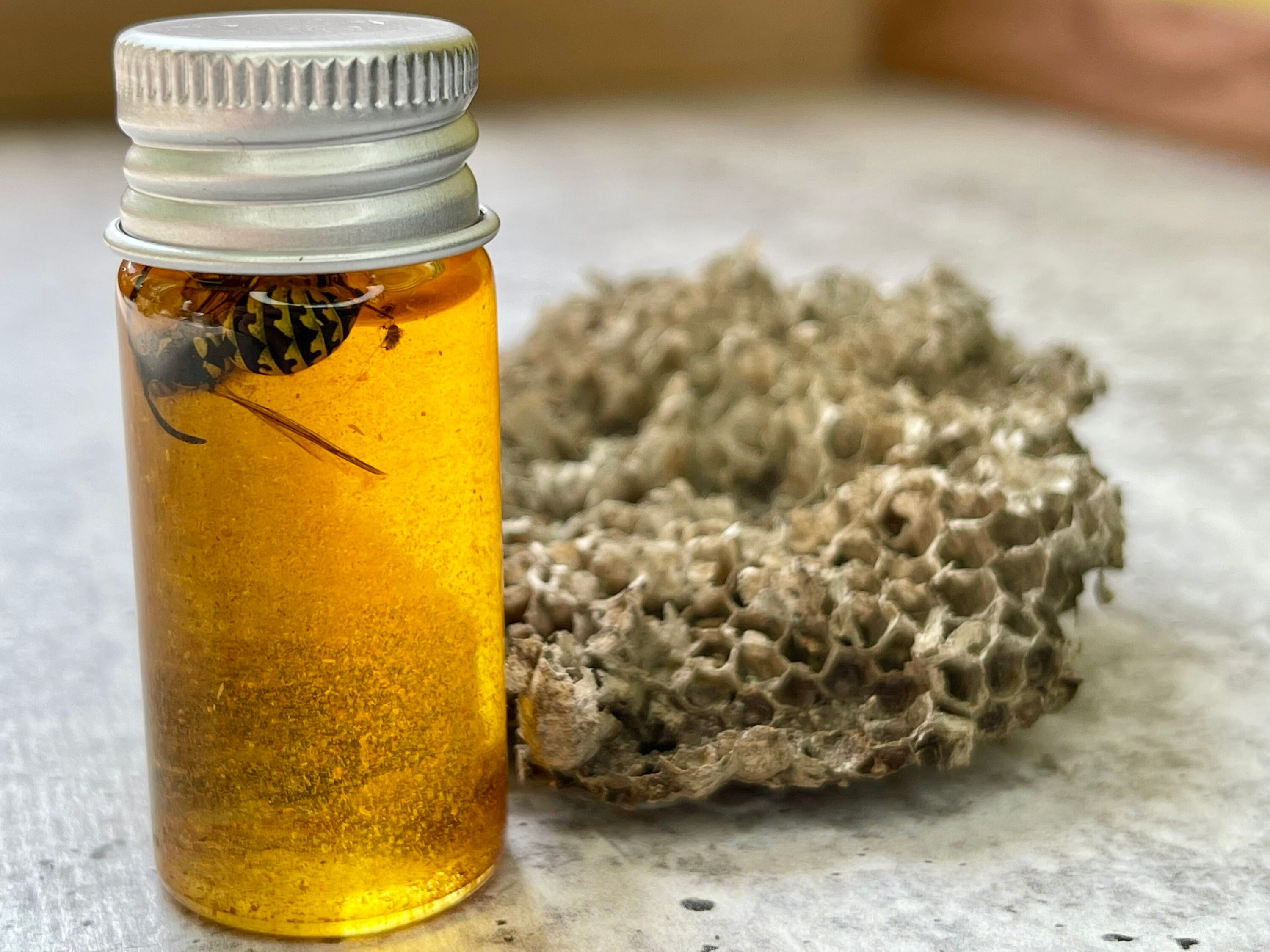 Yellow Jacket Oil, Powerful Protection, Retaliation, Payback, Turn a ...