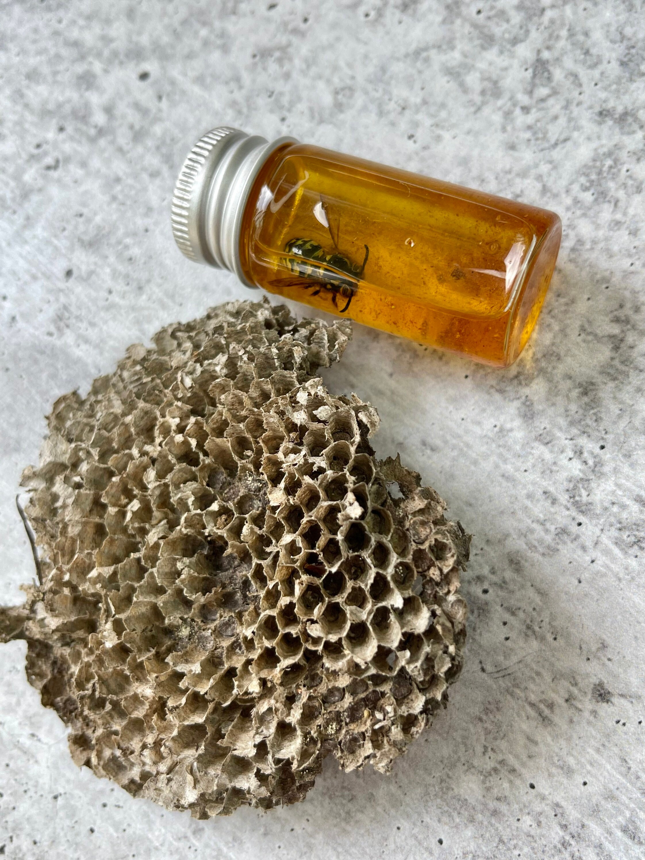 Yellow Jacket Oil, Powerful Protection, Retaliation, Payback, Turn a ...