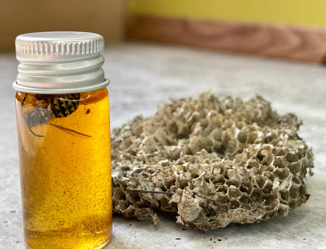 Yellow Jacket Oil, Powerful Protection, Retaliation, Payback, Turn a ...