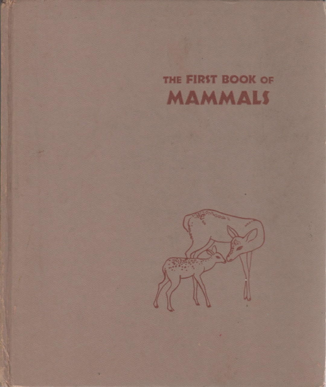 The First Book of Mammals 1957 Book by Maragret Williamson - Etsy