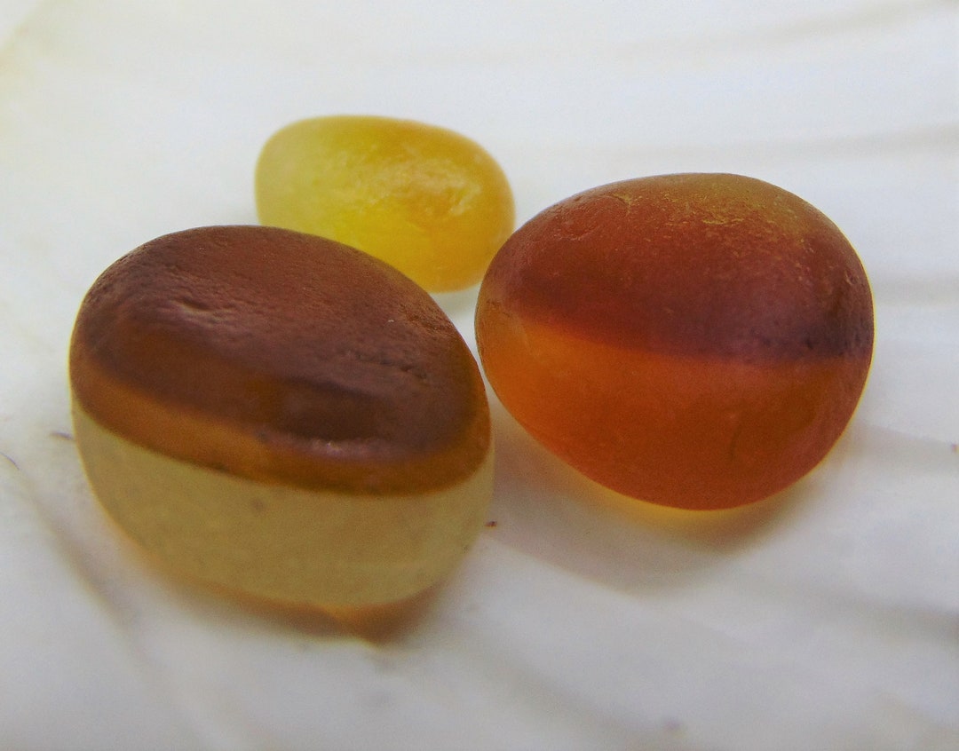 3 Amber Brown & Yellow Multies/fish Eye Seaham Sea Glass - Etsy