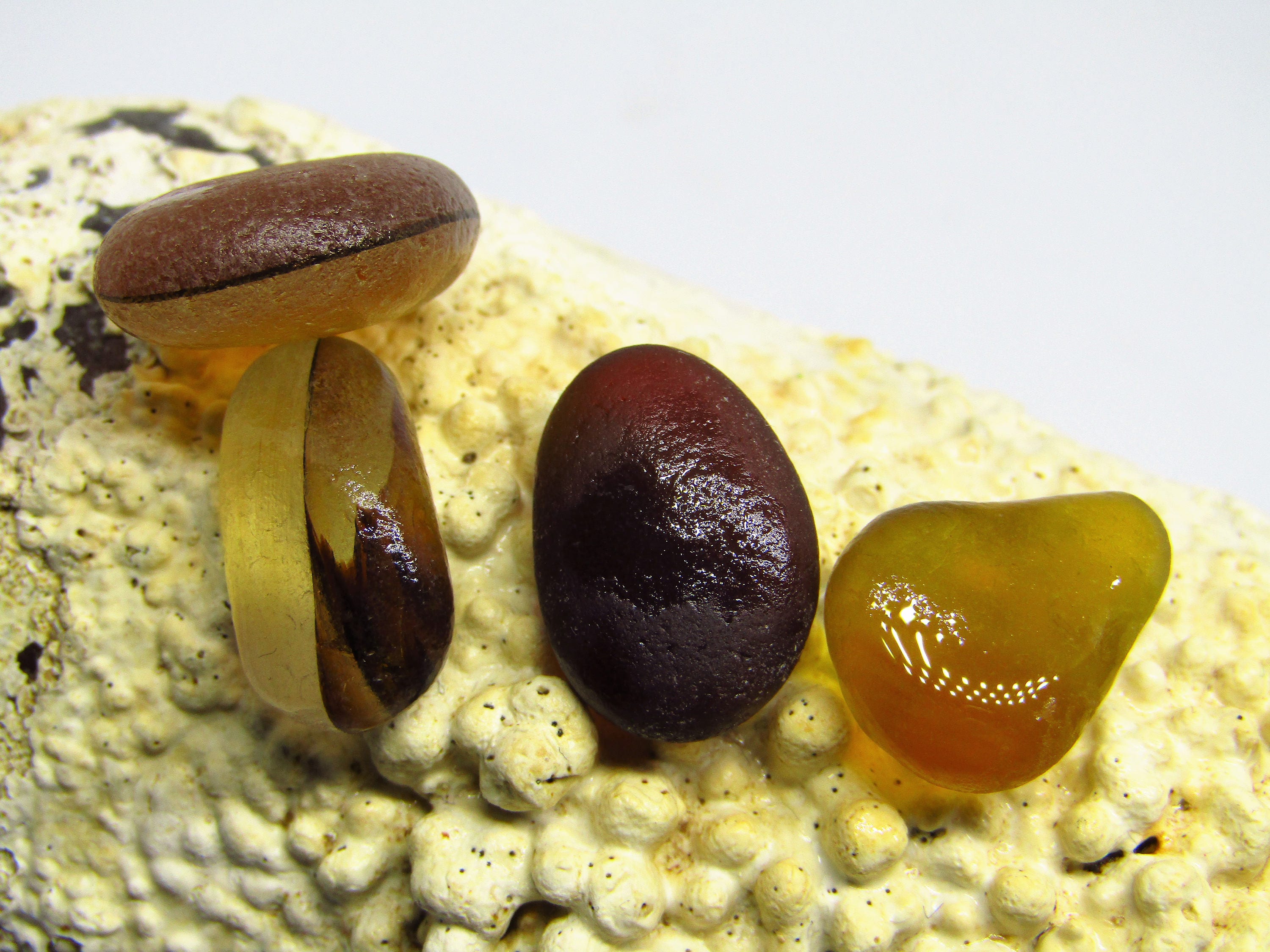 4 Amber/ Brown Bicoloured/multies/fish Eye Seaham Sea Glass - Etsy