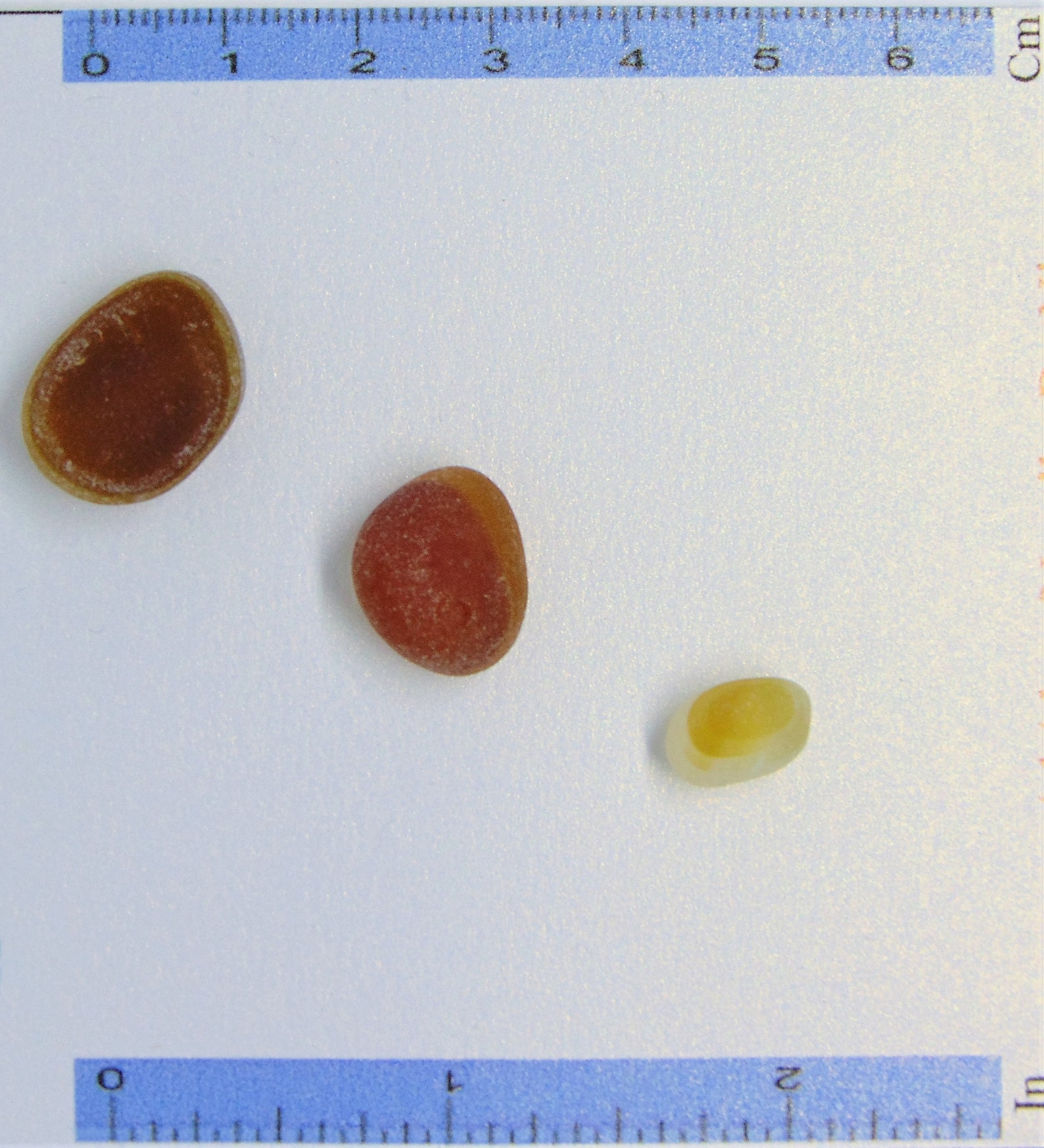 3 Amber Brown & Yellow Multies/Fish Eye Seaham Sea Glass | Etsy