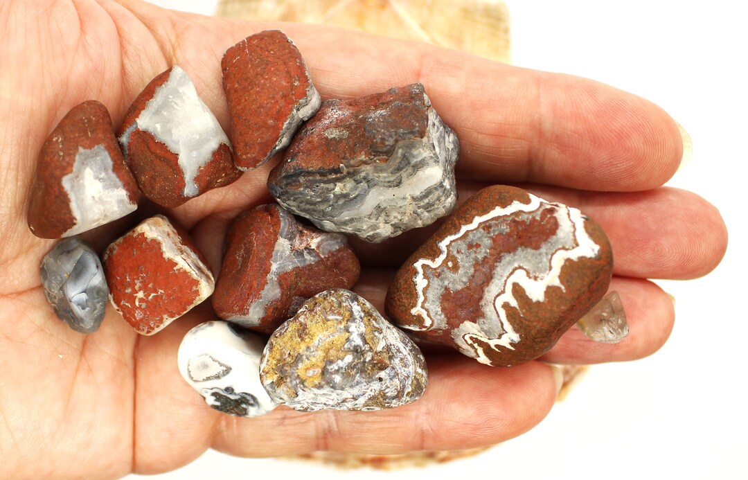 11 Pieces Natural Scottish Banded/ribbon Beach Agate Shades of Grey ...