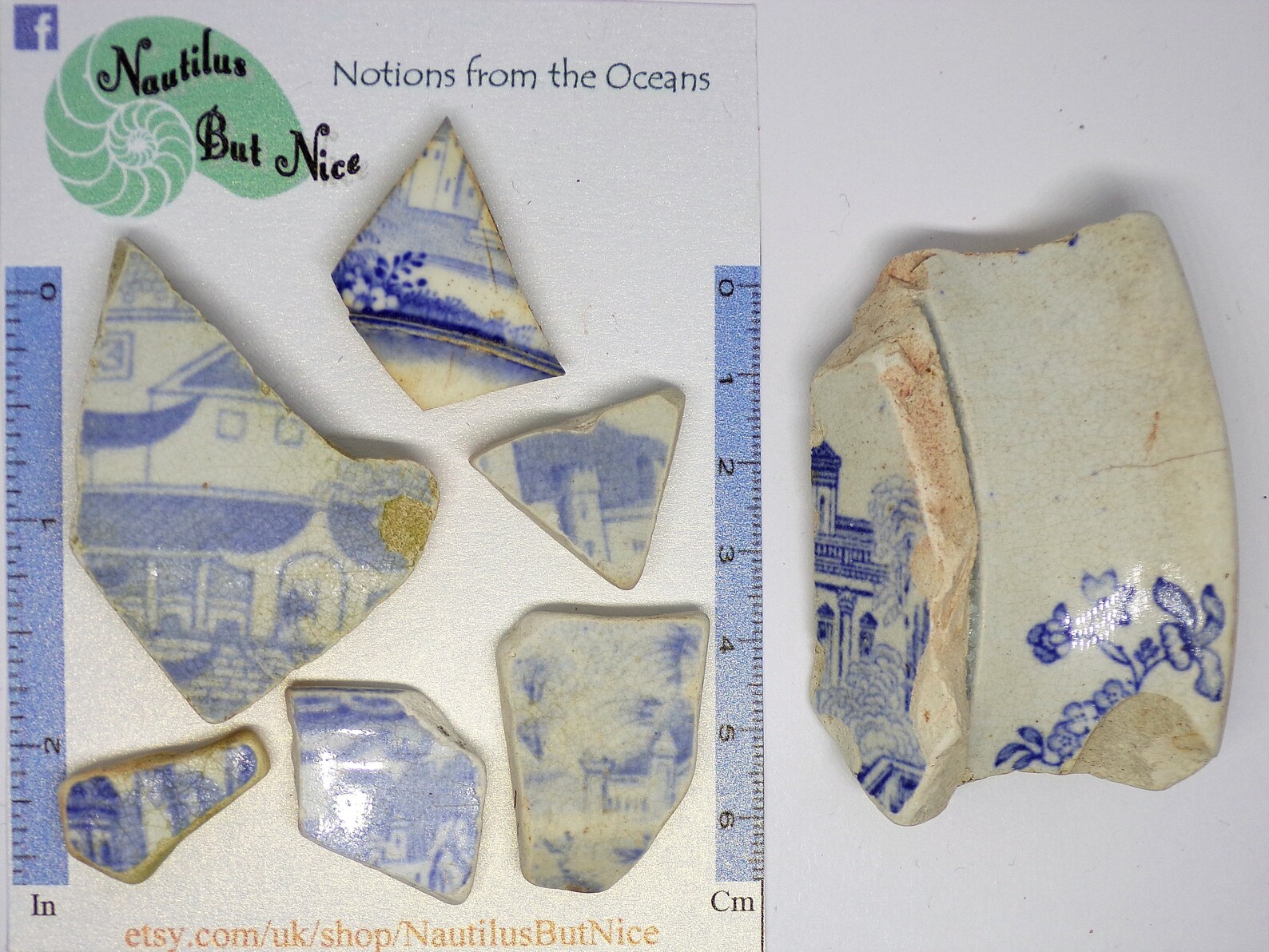 Pavilions and Palaces 7 Scottish Pictorial Sea Pottery - Etsy
