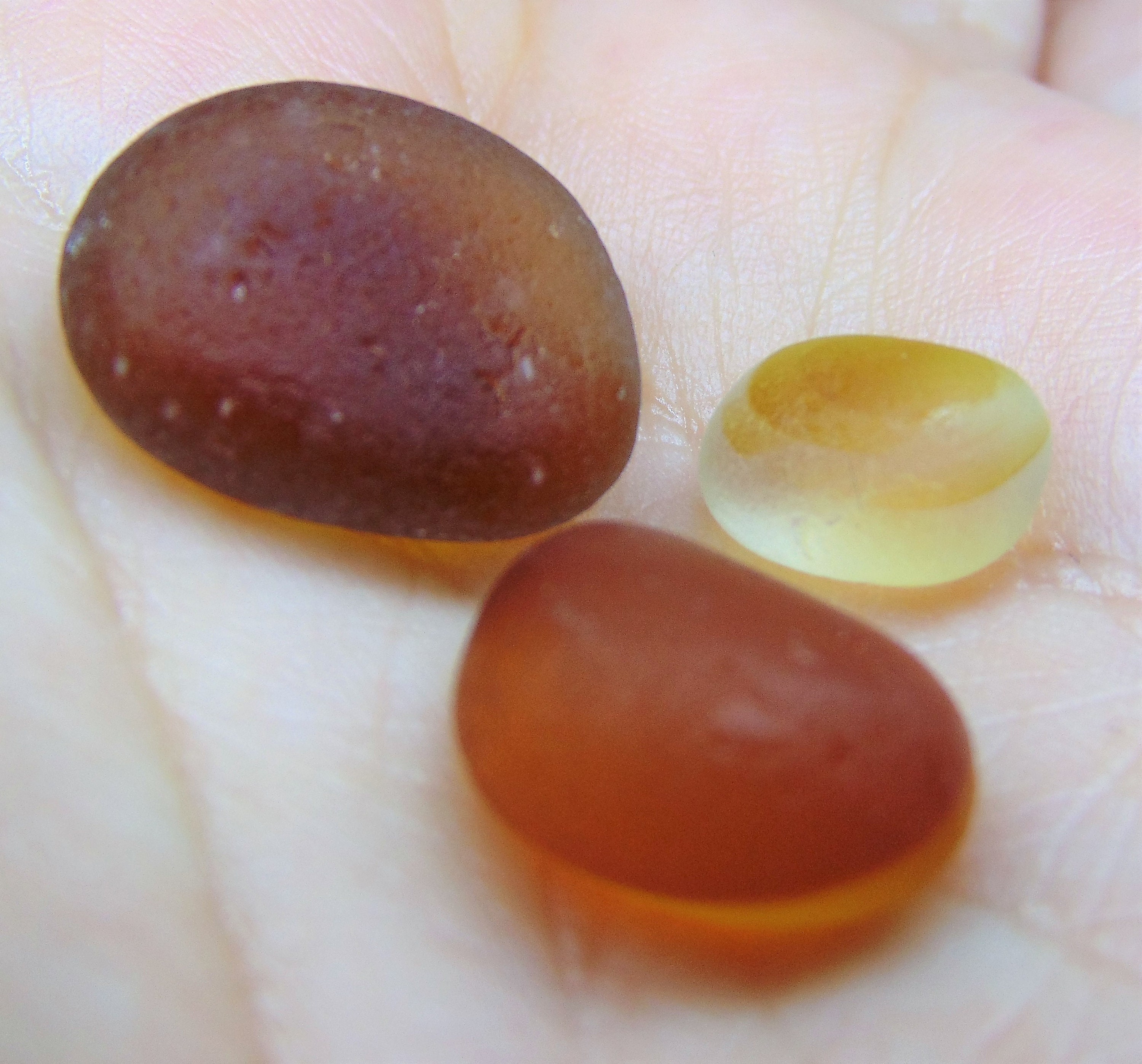 3 Amber Brown & Yellow Multies/Fish Eye Seaham Sea Glass | Etsy