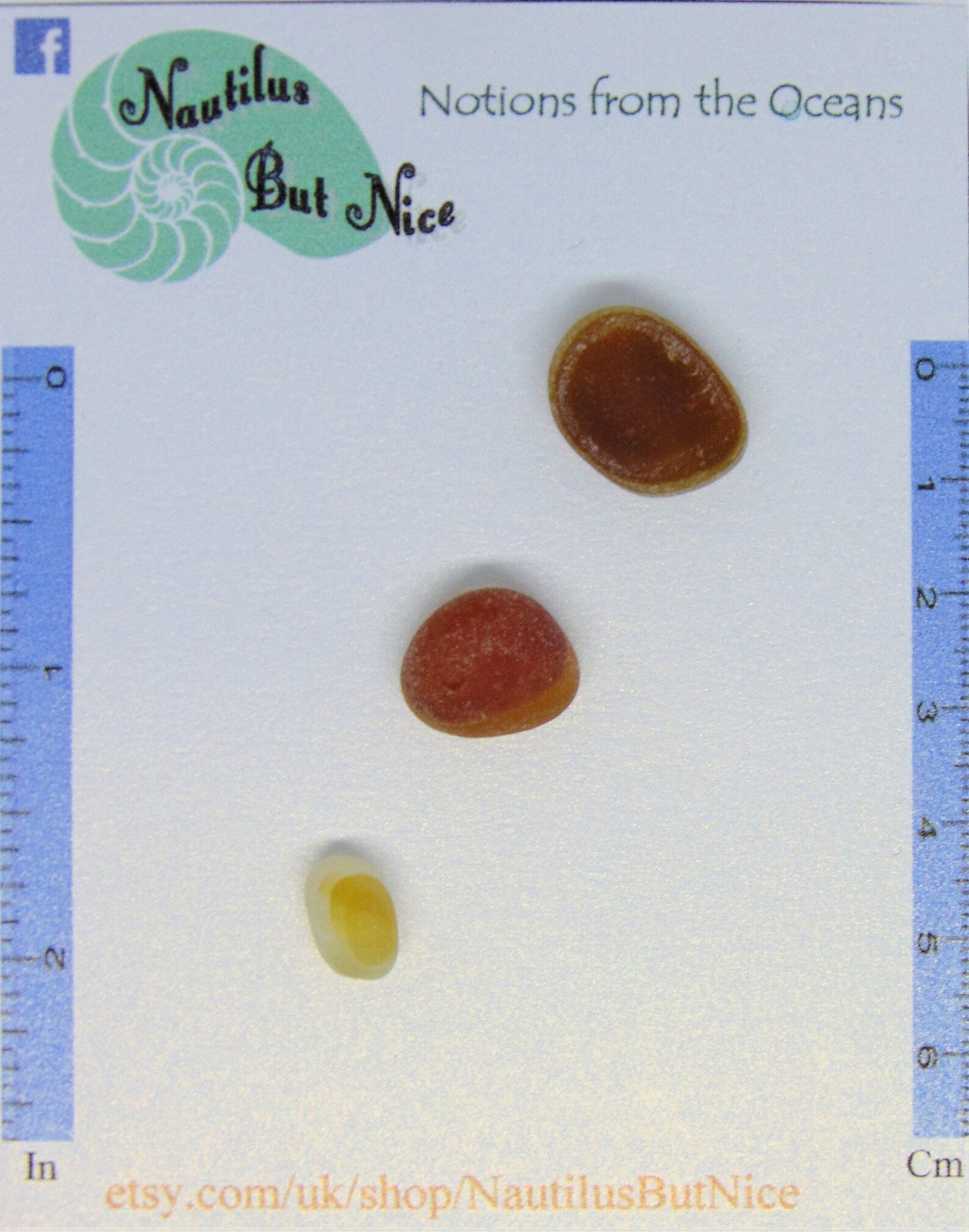 3 Amber Brown & Yellow Multies/Fish Eye Seaham Sea Glass | Etsy