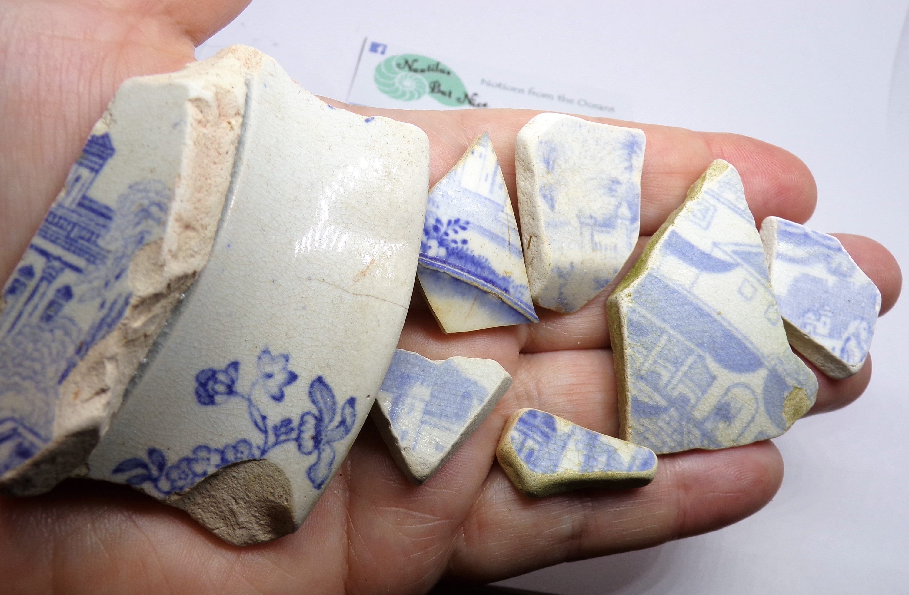Pavilions and Palaces 7 Scottish Pictorial Sea Pottery | Etsy