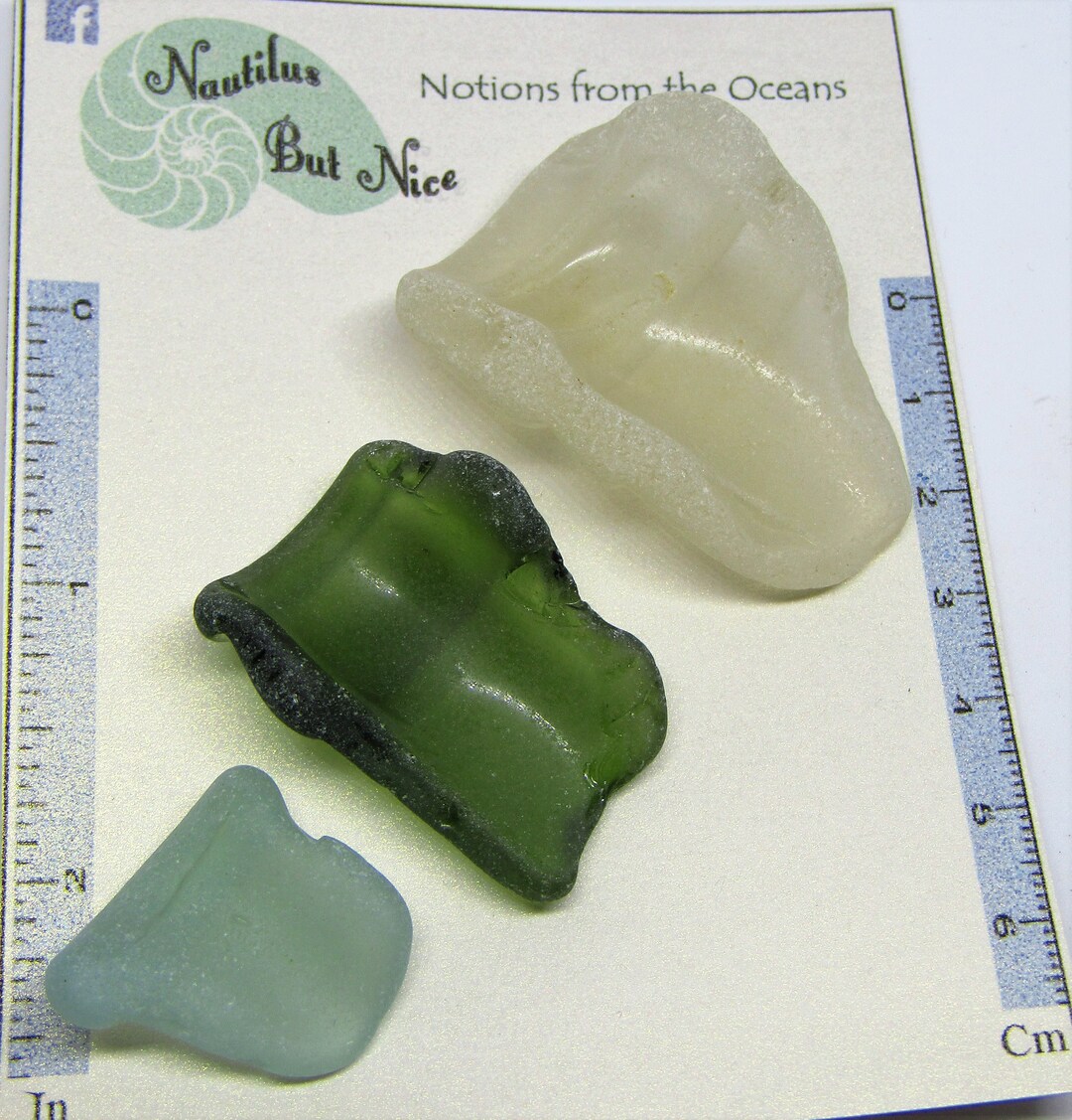 3 Scottish Sea Glass Partial Bottle Necks From Prestonpans for ...