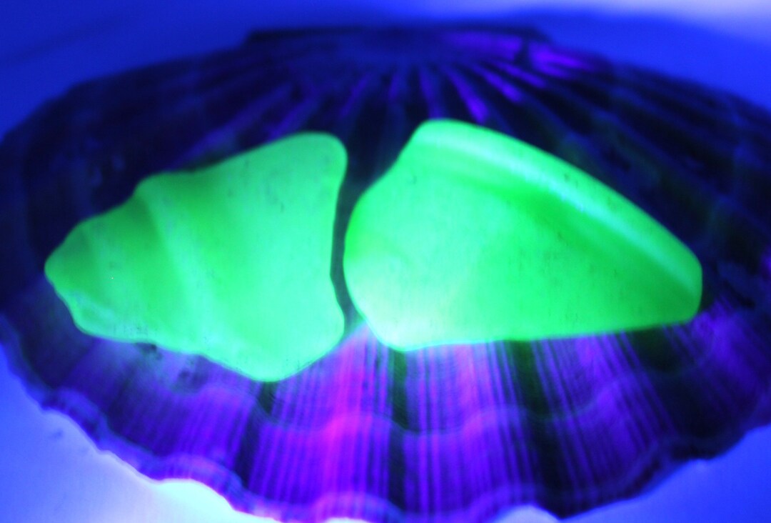 2 Large Fluorescent UV Scottish Sea Glass Pieces Vaseline Uranium ...
