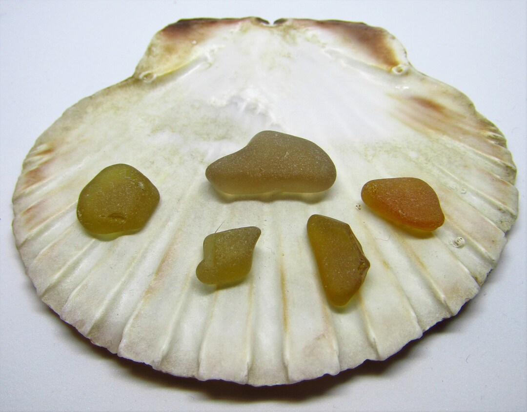 5 Shades of Amber/gold Scottish Sea Glass Pieces for Jewellery/arts ...