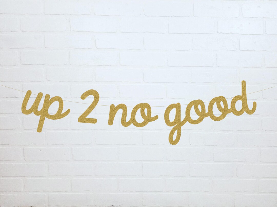 2nd Birthday Ideas | 2nd Birthday Party Ideas | up 2 No Good Banner ...