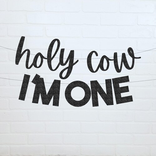 Holy Cow I'm One Cow Birthday Cow Banner 1st - Etsy
