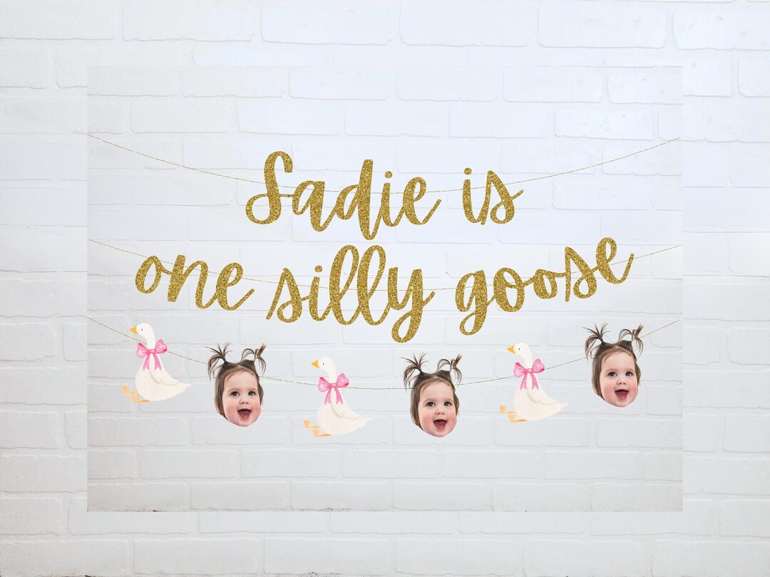 One Silly Goose Birthday for Girl | 1st Birthday Silly Goose Banner ...