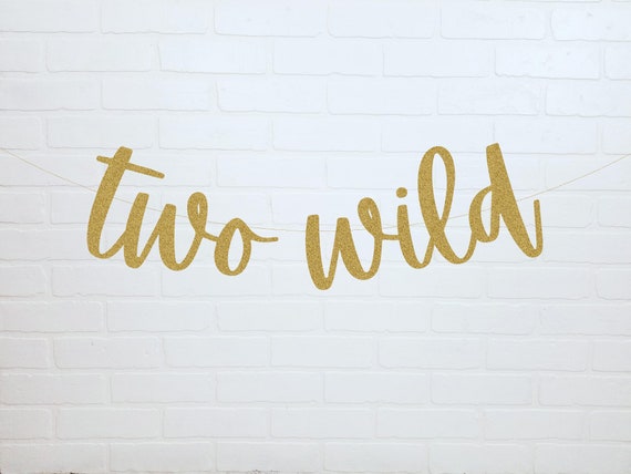 Two Wild Two Wild Birthday Decorations 2nd Birthday Banner | Etsy