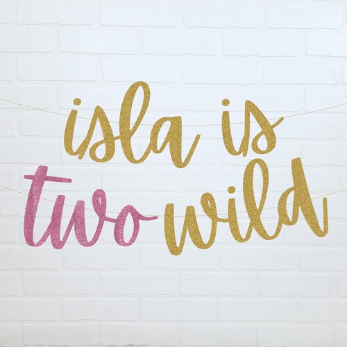 Two Wild Two Wild Birthday Decorations 2nd Birthday Banner - Etsy