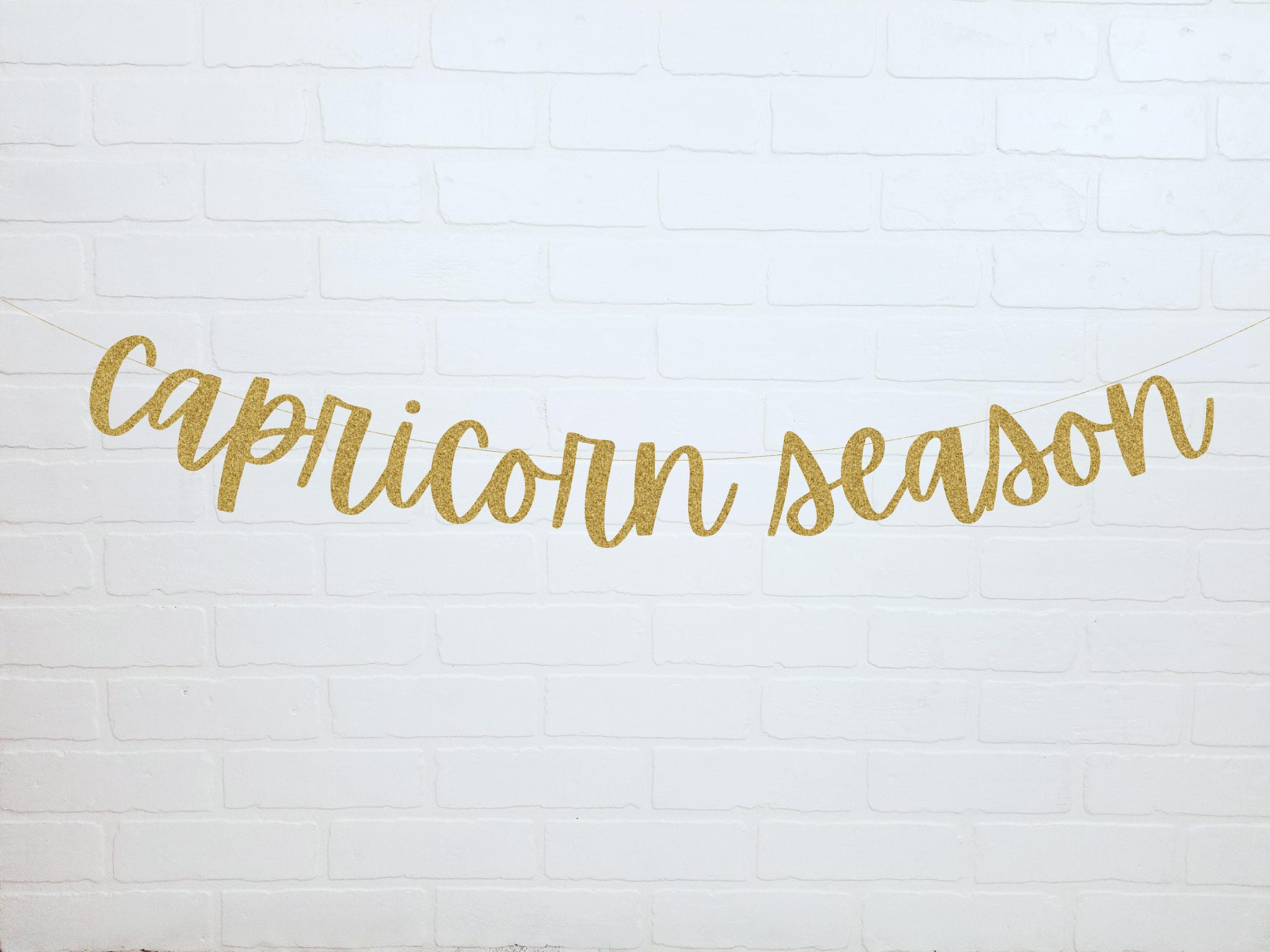 Capricorn Birthday Banner Capricorn Season Birthday Adult Etsy
