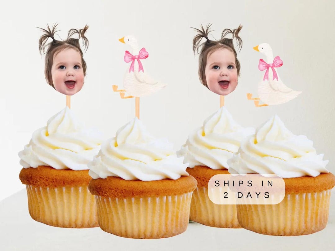 One Silly Goose Cupcake Toppers | Birthday Face Decorations | 1st ...