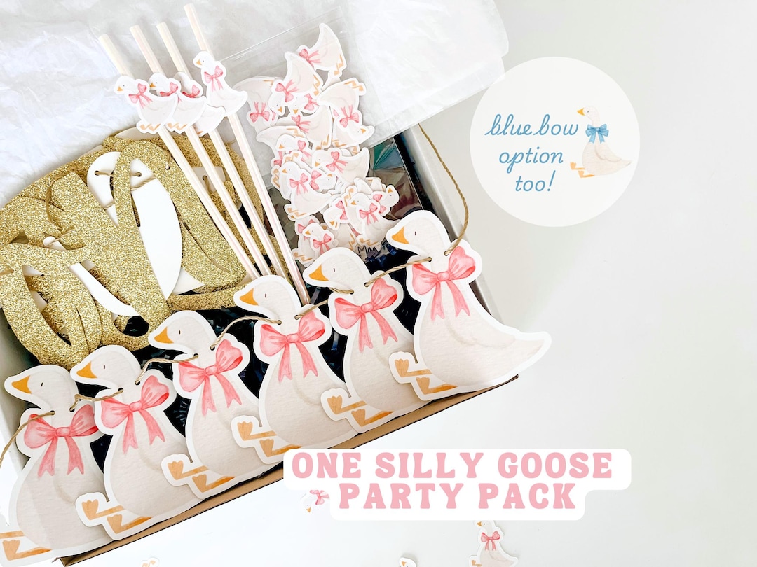 One Silly Goose Party Pack 1st Birthday Silly Goose Banner 1st Birthday ...