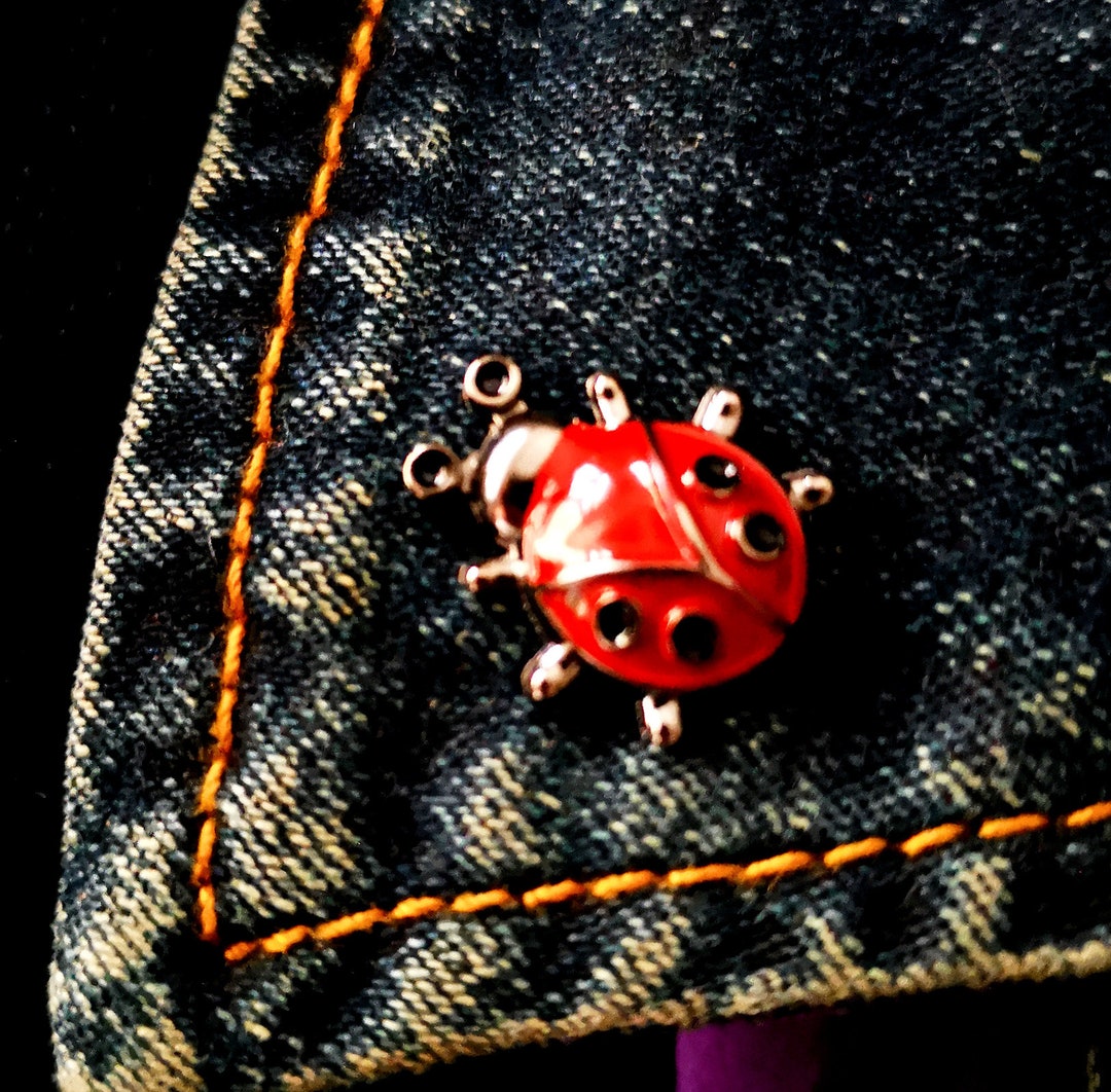 Pin Brooch Lapel Pin Bug Ladybug Lucky Lucky Charm - Etsy