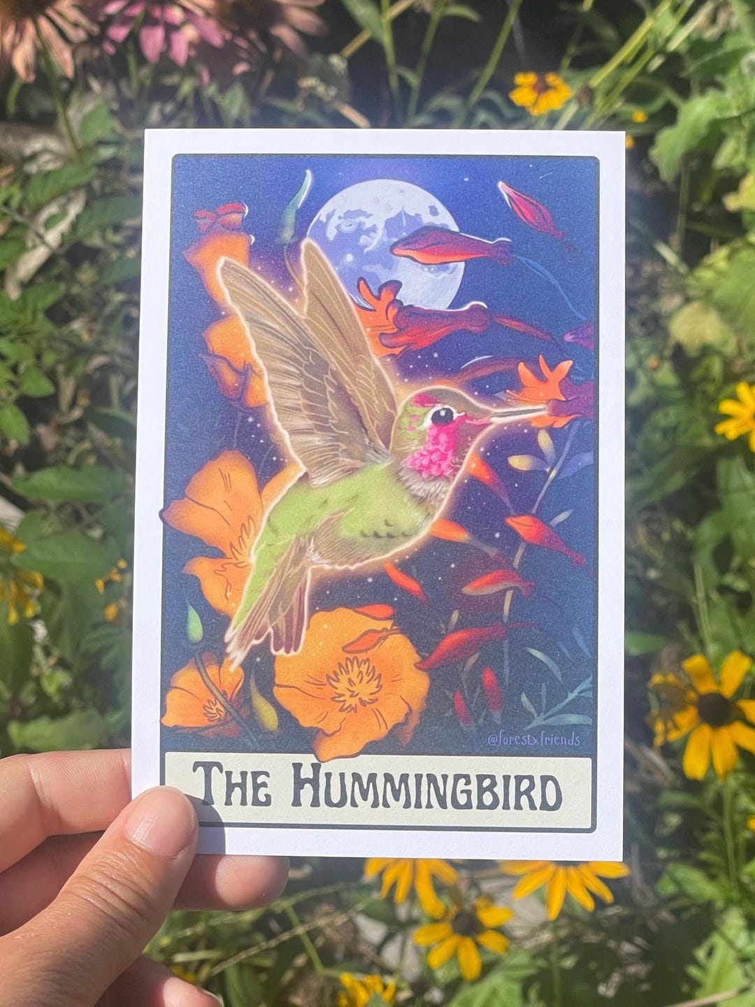 The Hummingbird Tarot Card 4 X 6 Inch Print | Oracle Card Art, Witchy ...