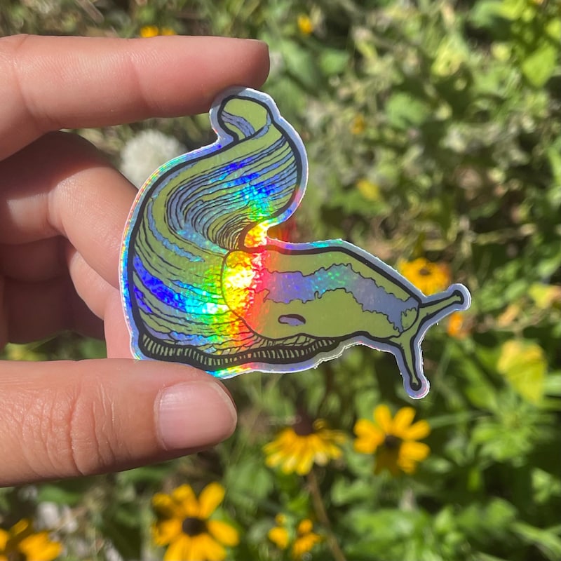 Banana Slugs Decal - Etsy
